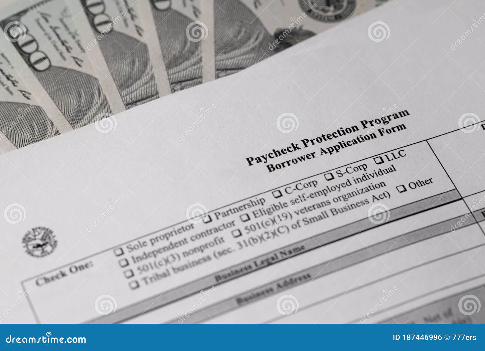 Paycheck Protection Program Borrower Application Form Stock Photo ...