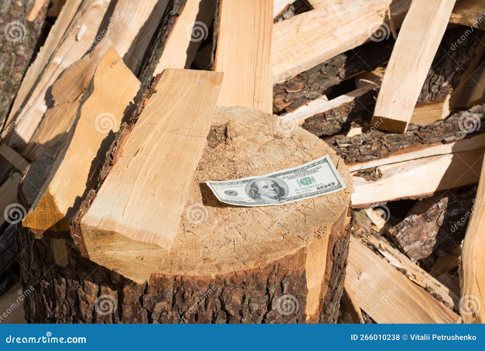 Payment for firewood stock photo. Image of logging, paper - 266010238