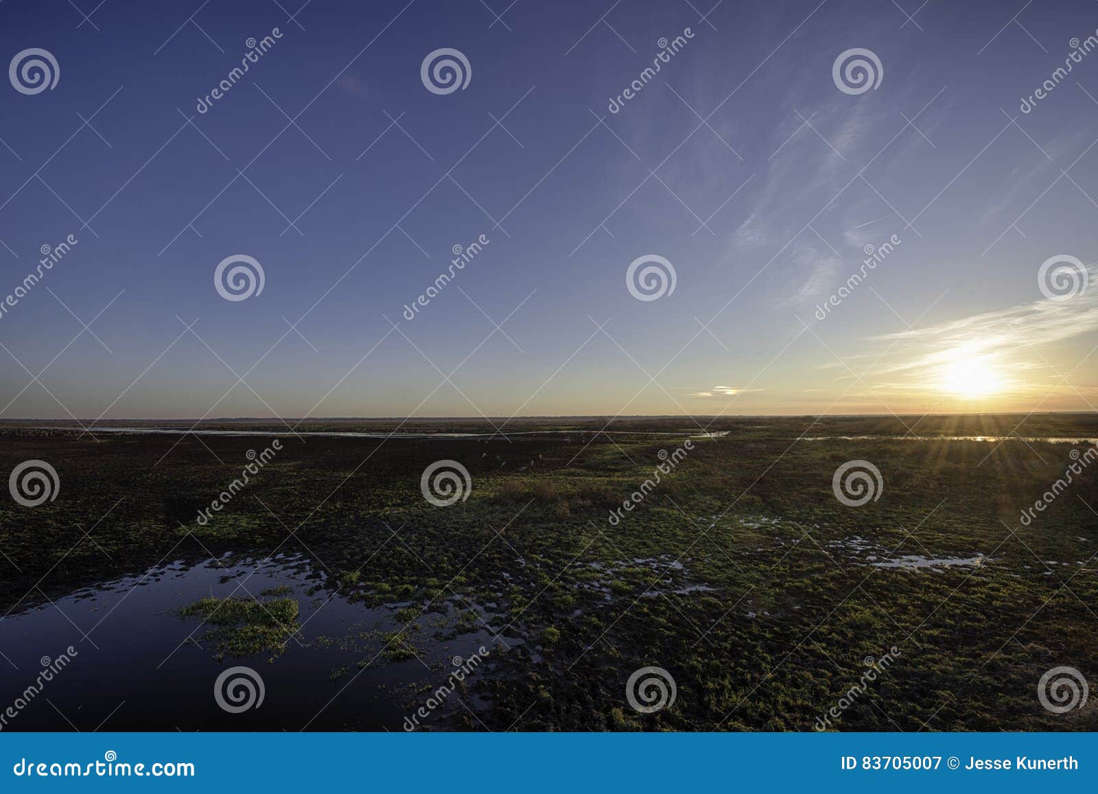 Paynes Prairie State Park stock image. Image of sunrise - 83705007