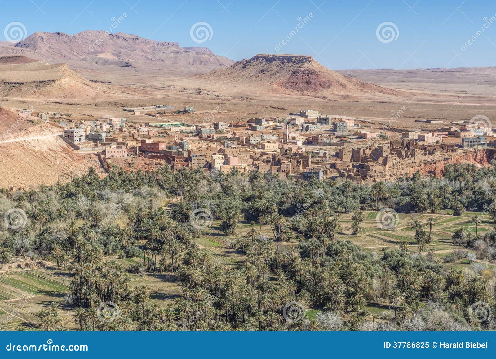 Paysage Au Maroc, Afrique Du Nord Image stock - Image du arbre, sable ...