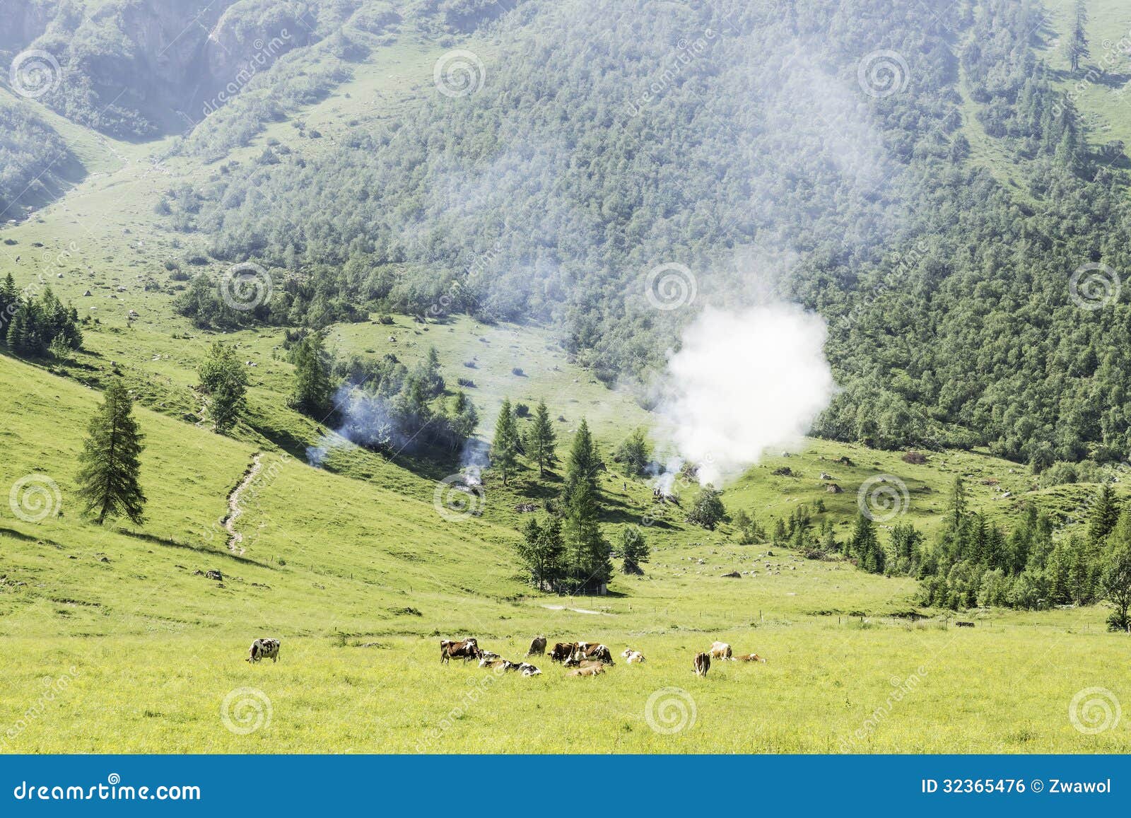 Paysage Avec Les Vaches Et Le Feu Sauvage Photo stock - Image du ...