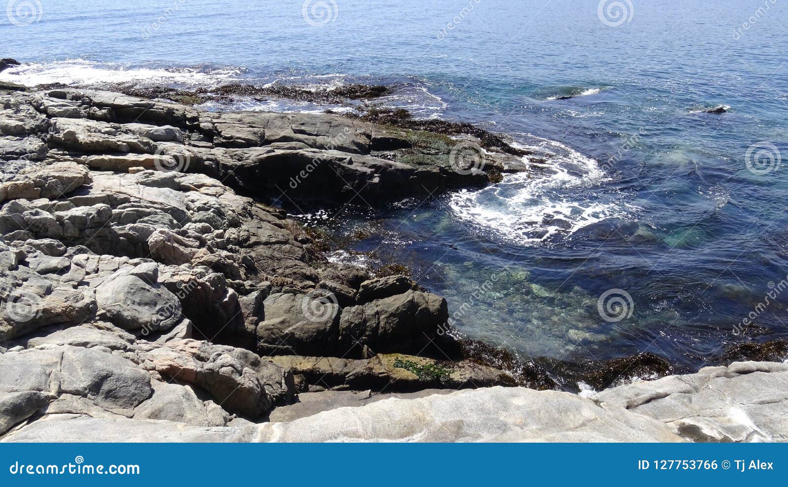 Paysage, Bord De La Mer Et Plage Rocheuse Photo stock - Image du ...