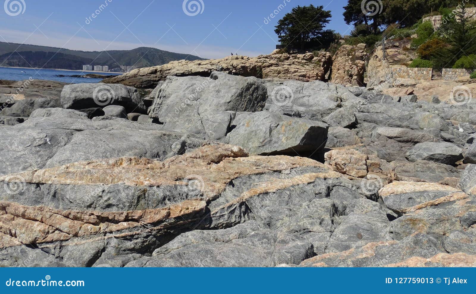 Paysage, Bord De La Mer Et Plage Rocheuse Image stock - Image du ...
