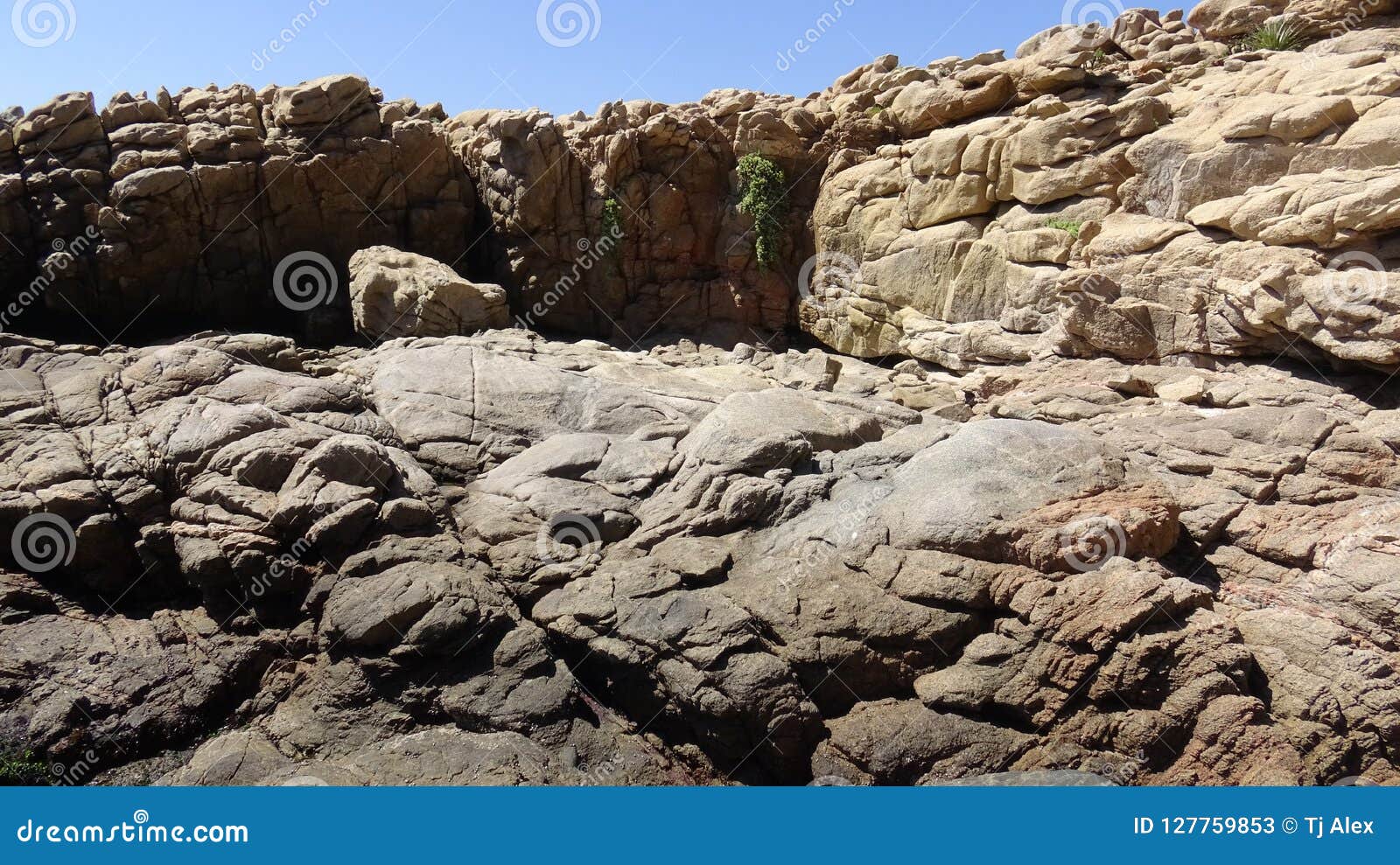 Paysage, Bord De La Mer Et Plage Rocheuse Image stock - Image du nature ...