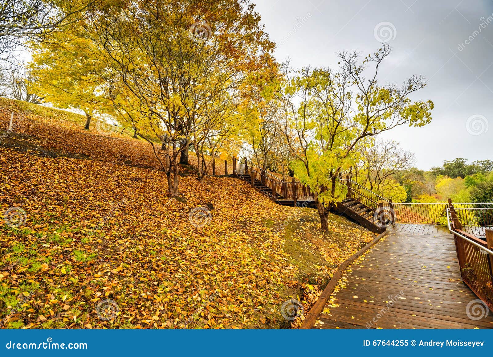 Paysage D'automne, Parc Sous La Pluie Image stock - Image du passerelle ...