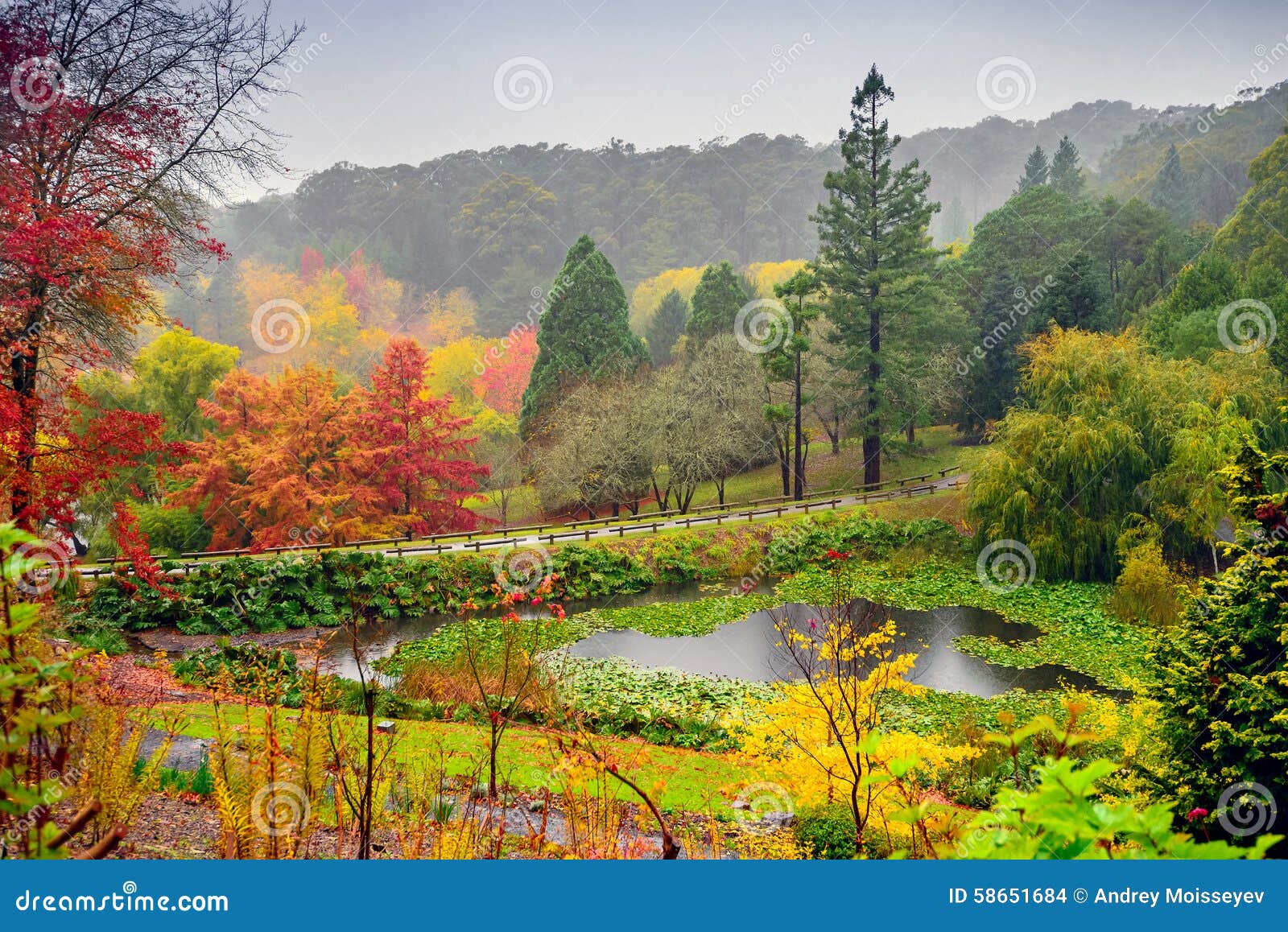 Paysage D'automne Sous La Pluie Photo stock - Image du jardin ...