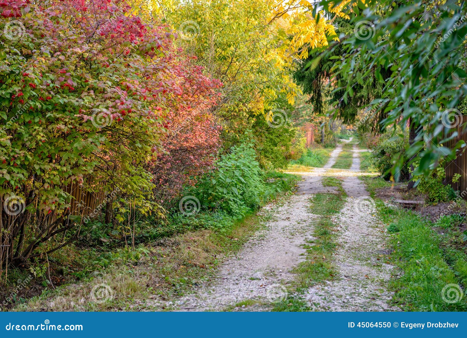 Paysage D'automne Sur La Route De Campagne Photo stock - Image du ...