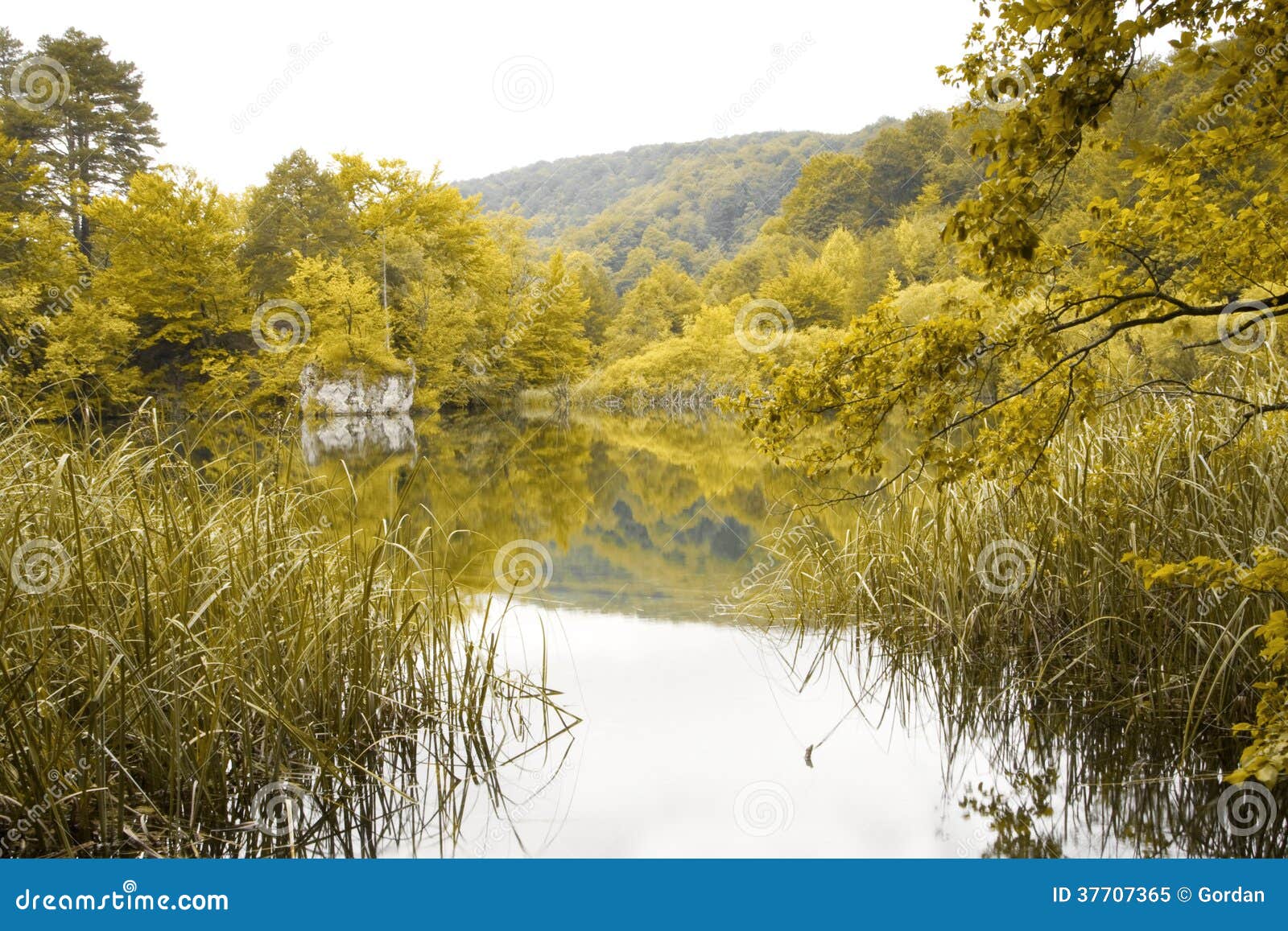 Paysage d'un beau lac image stock. Image du abondance - 37707365