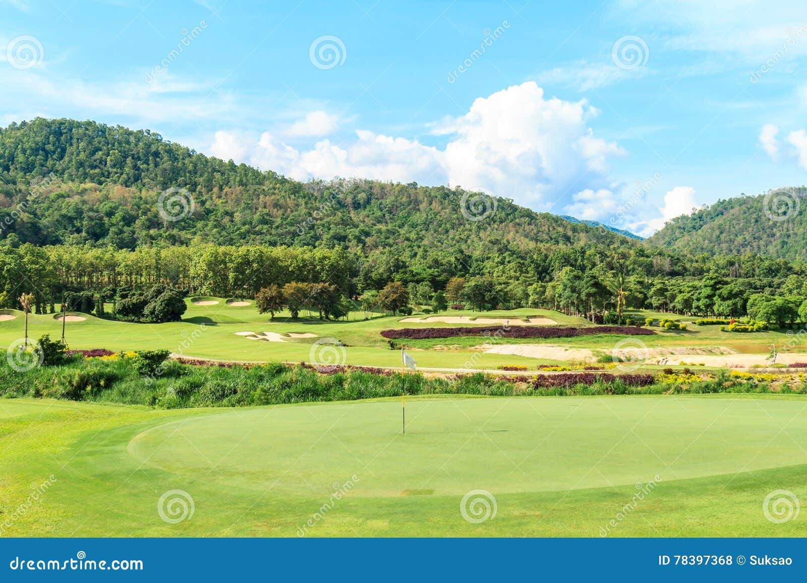 Paysage de terrain de golf photo stock. Image of loisirs - 78397368