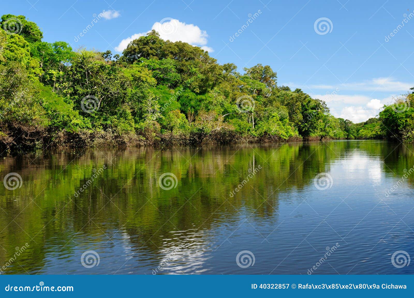 Paysage Du Fleuve Amazone Au Brésil Image stock - Image du brésil ...