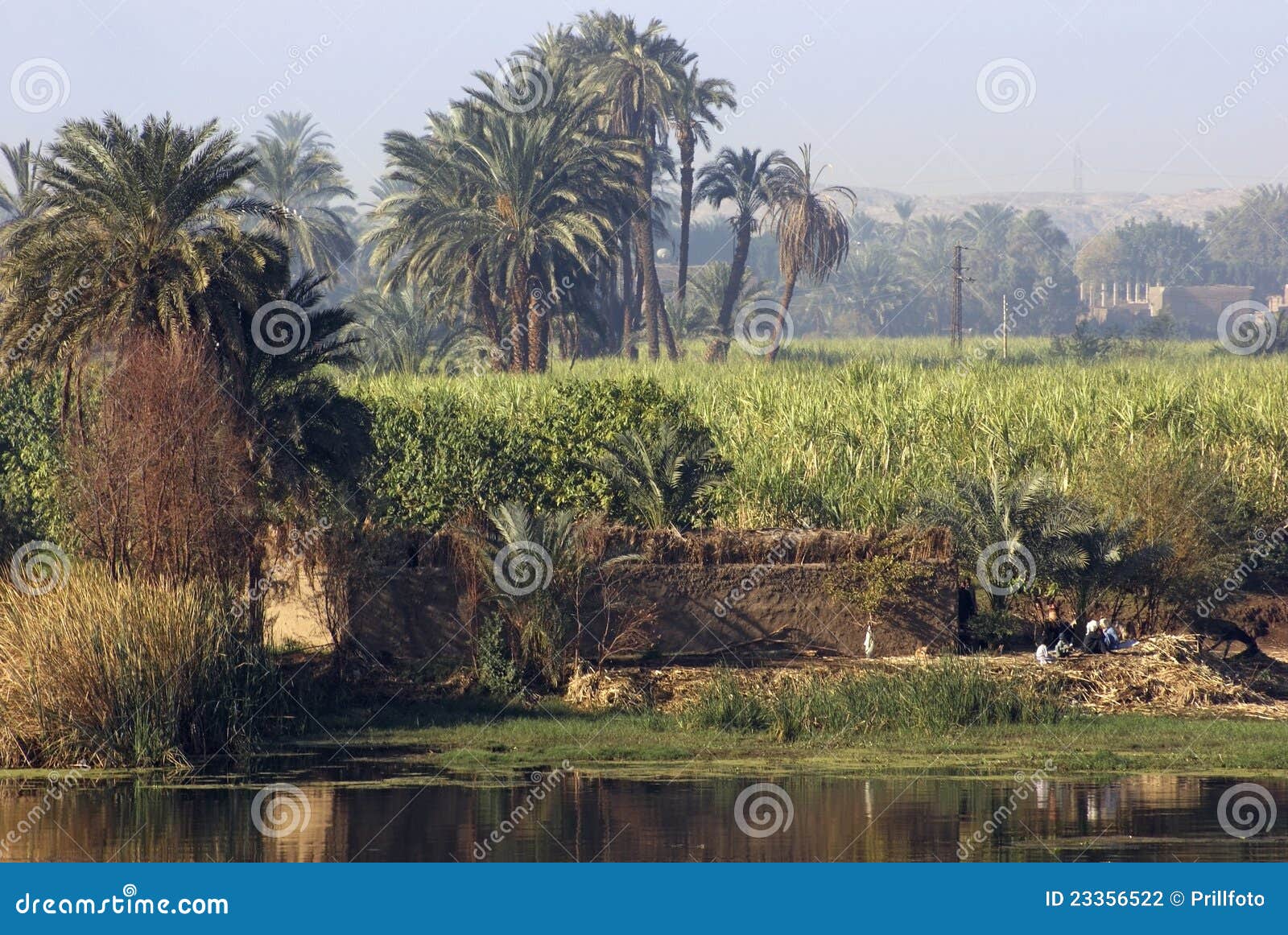 Paysage Du Nil De Rivière Entre Assouan Et Louxor Photo stock - Image ...