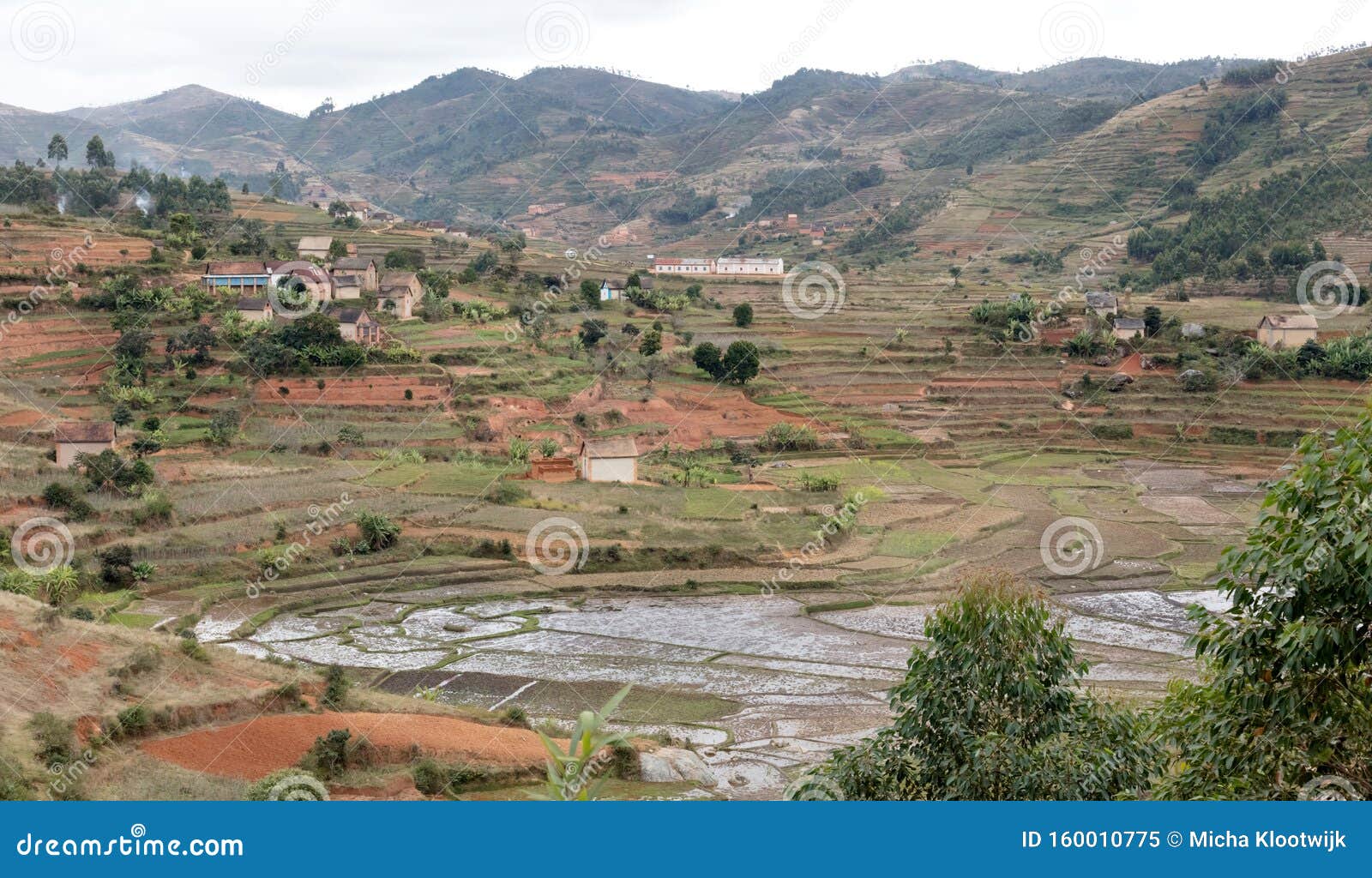 Paysage malgache typique image stock. Image du agriculture - 160010775