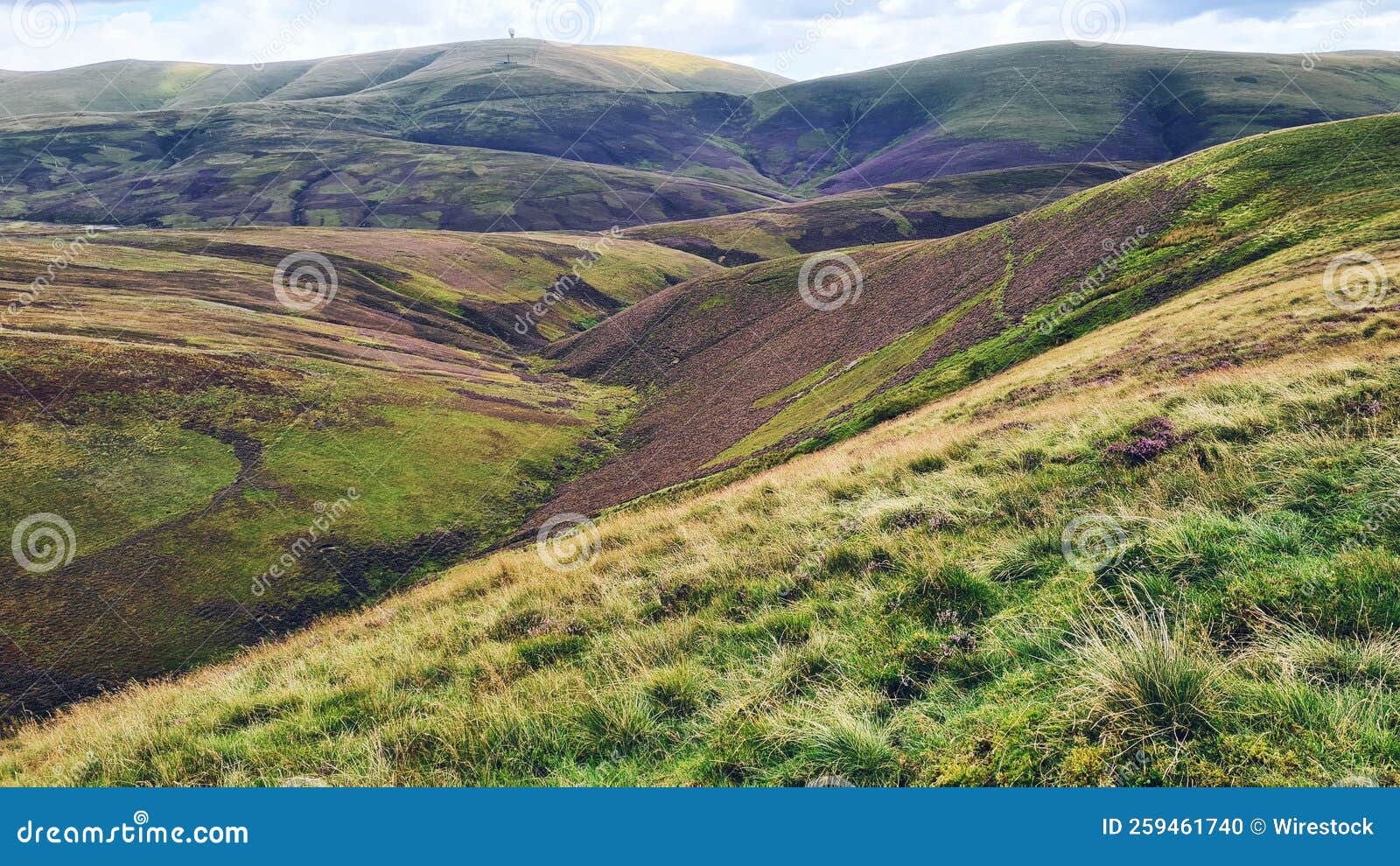 Paysage Naturel Avec Plaines Vertes Et Collines Photo stock - Image du ...