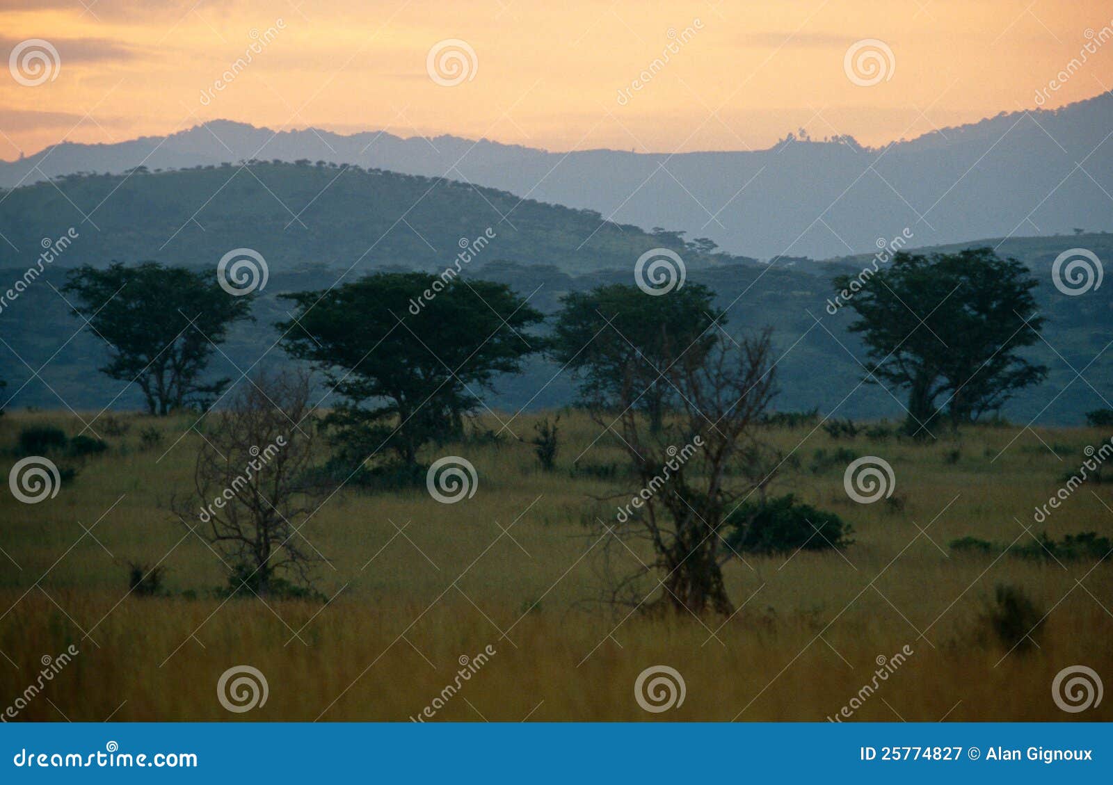 Paysage ougandais. photographie éditorial. Image du côtes - 25774827