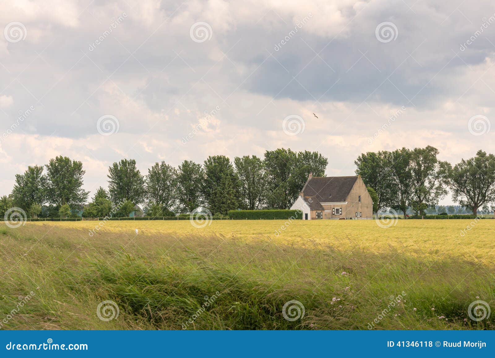 Paysage Pittoresque Dans Une Zone Rurale Photo stock - Image du horizon ...
