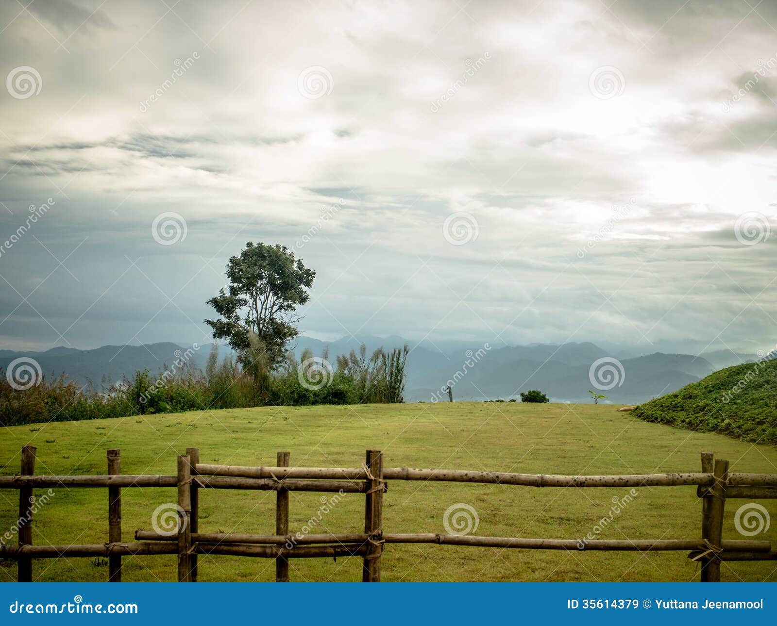 Paysage rural image stock. Image du paysage, végétation - 35614379