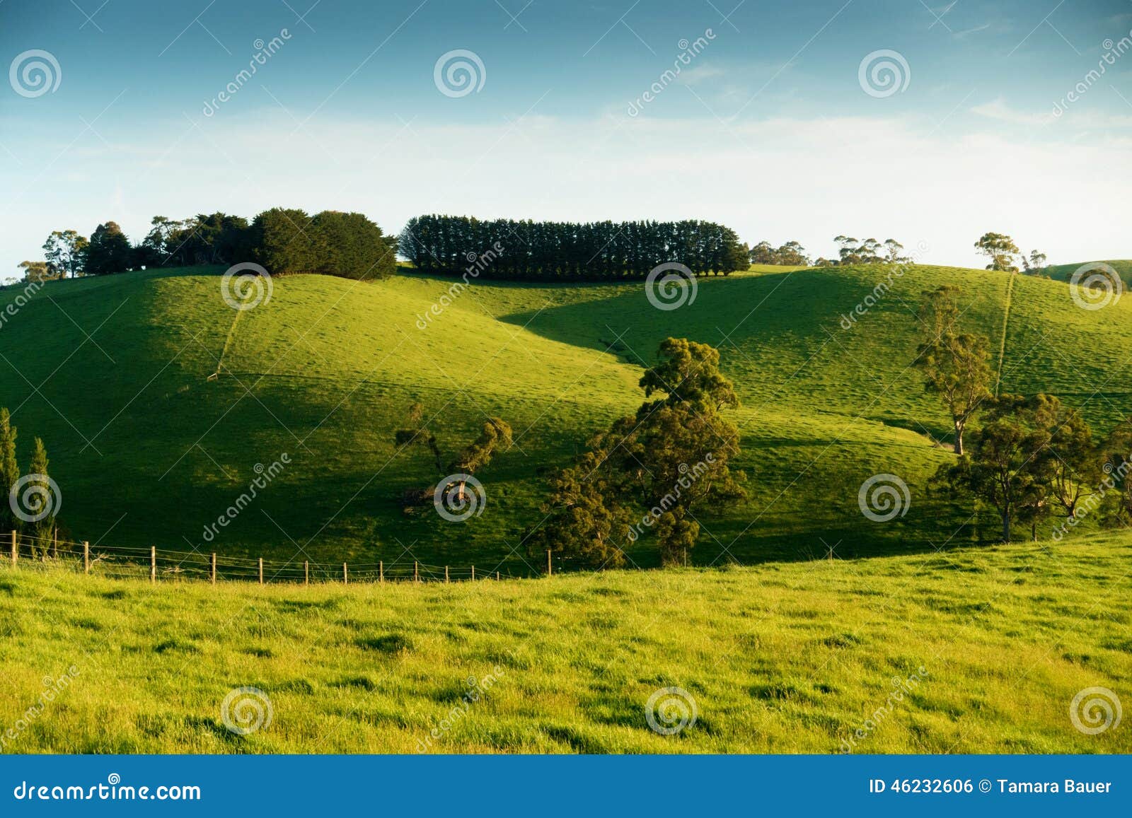 Paysage rural d'Australie photo stock. Image du beau - 46232606
