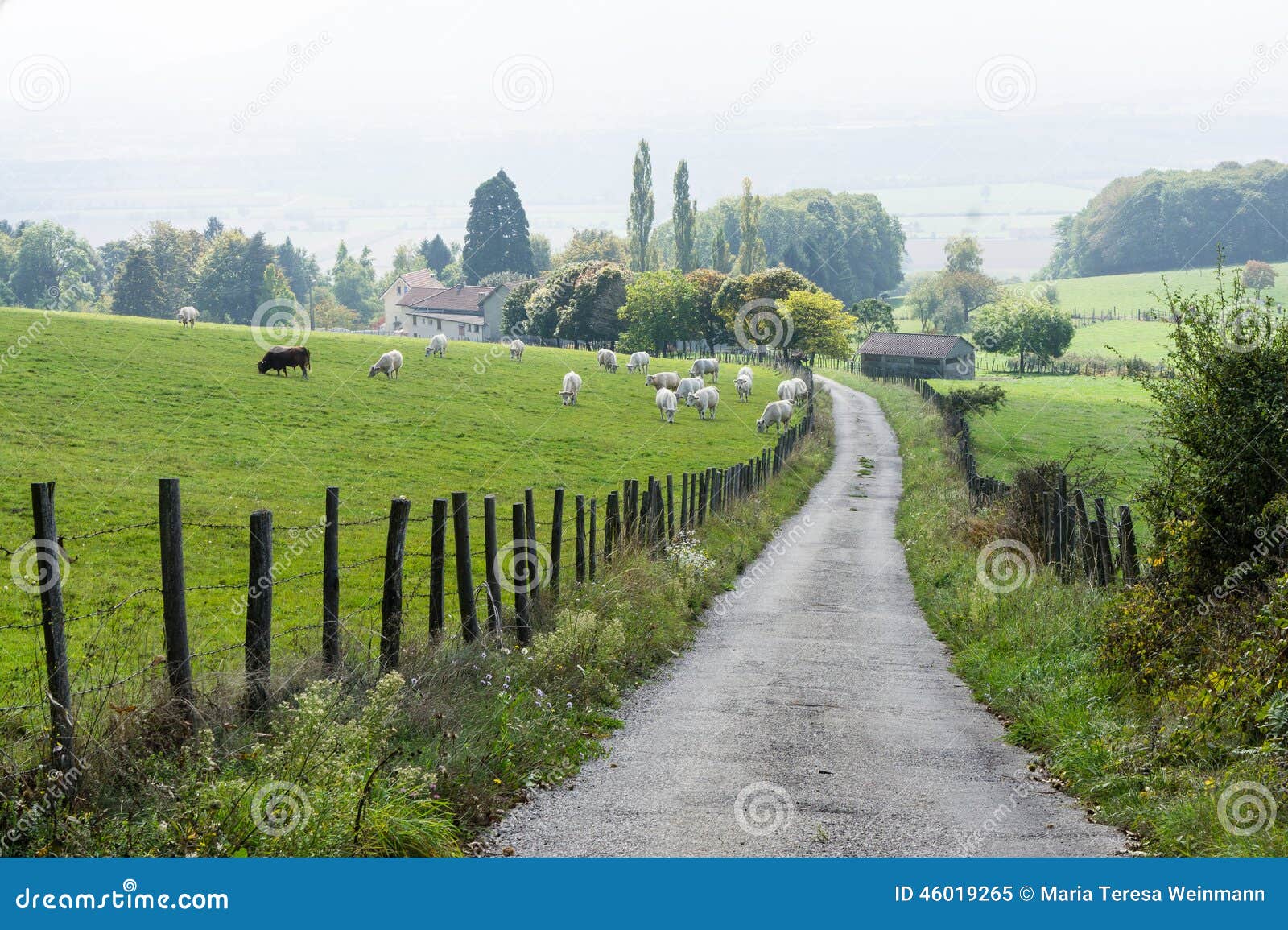 Paysage Rural Dans Les Frances I Image stock - Image du fond, automne ...