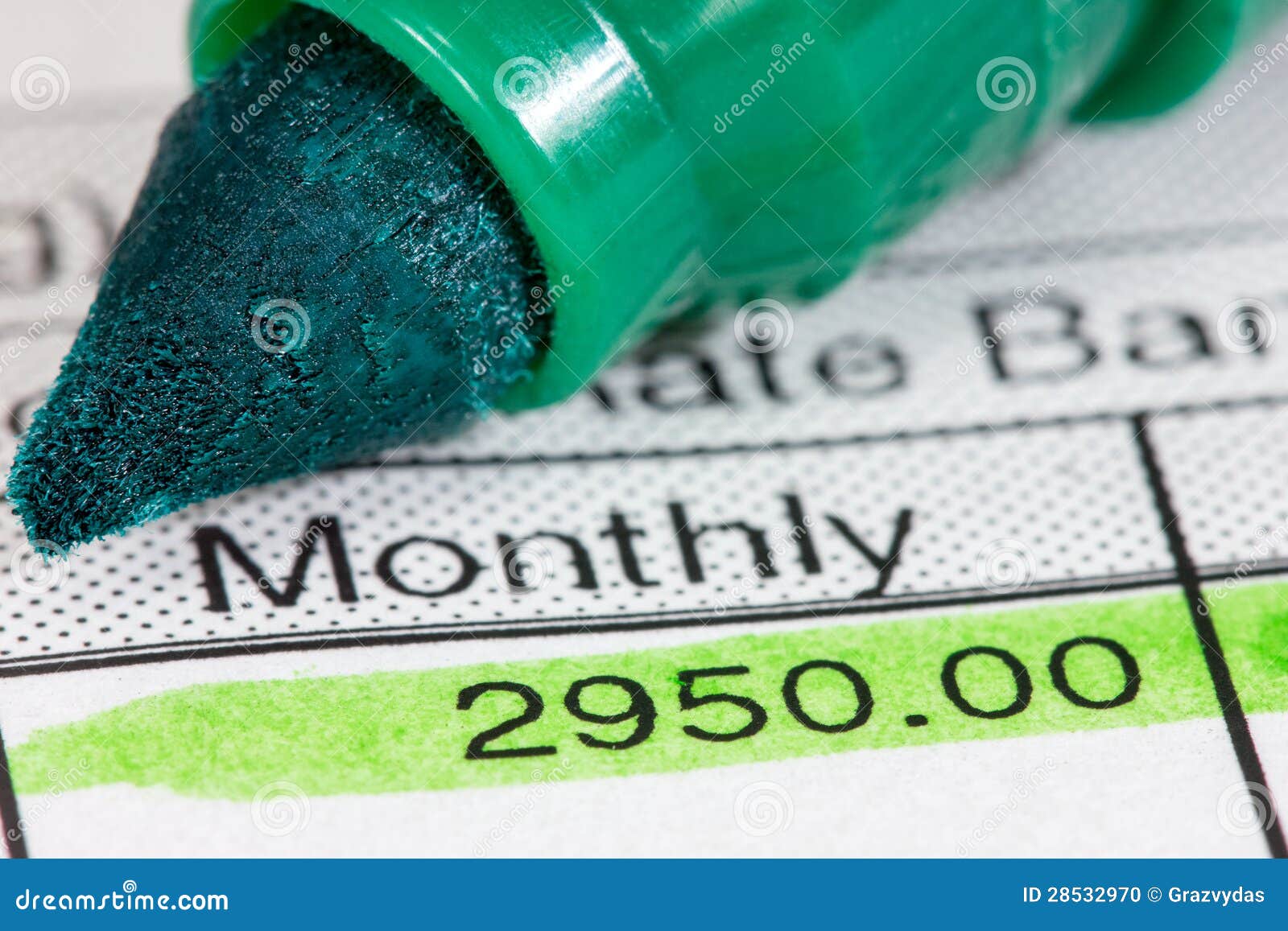 Payslip with monthly wage stock photo. Image of payment - 28532970
