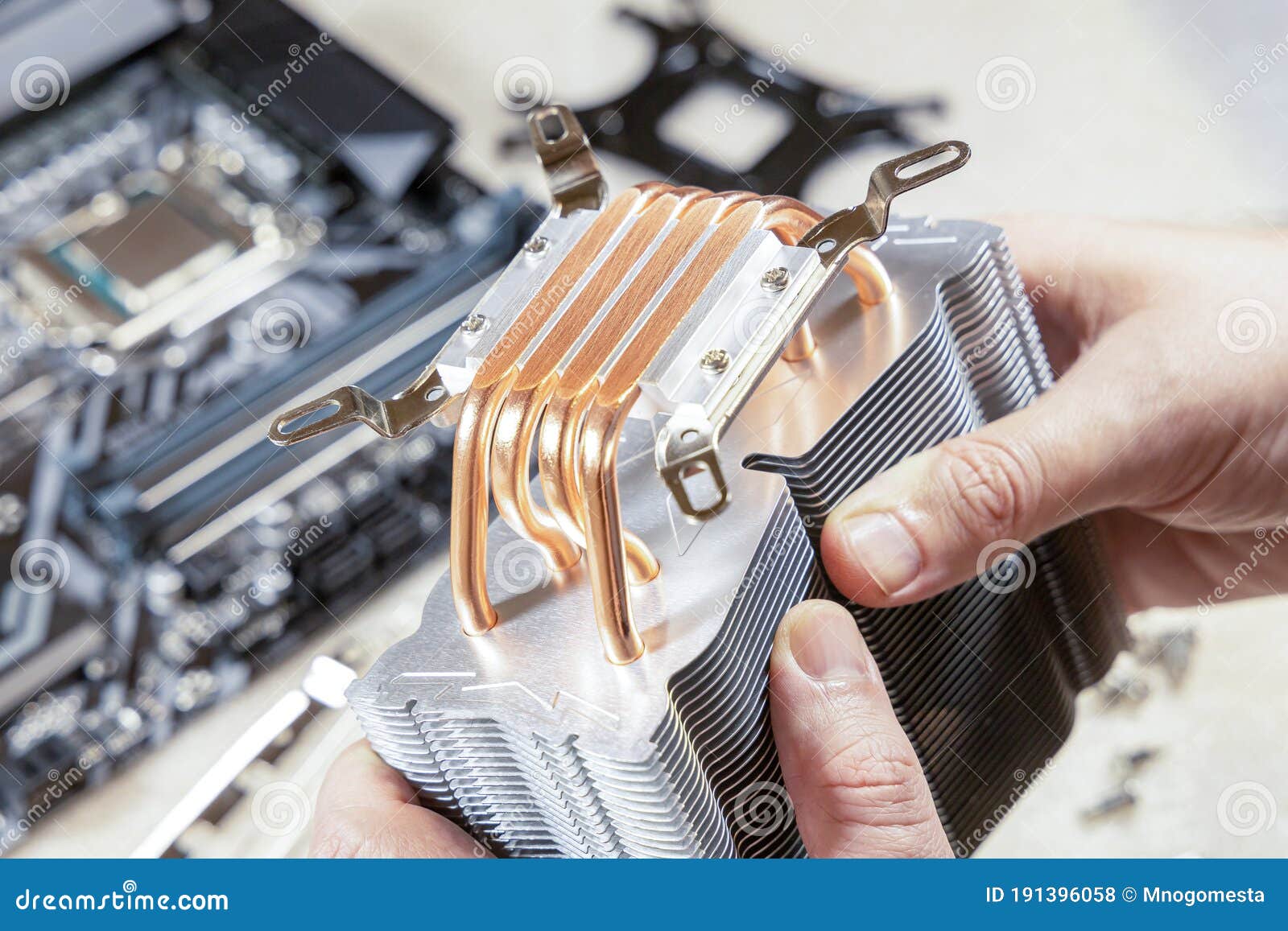 PC Assembly. Technician`s Hands Hold New CPU Heatsink Stock Photo ...