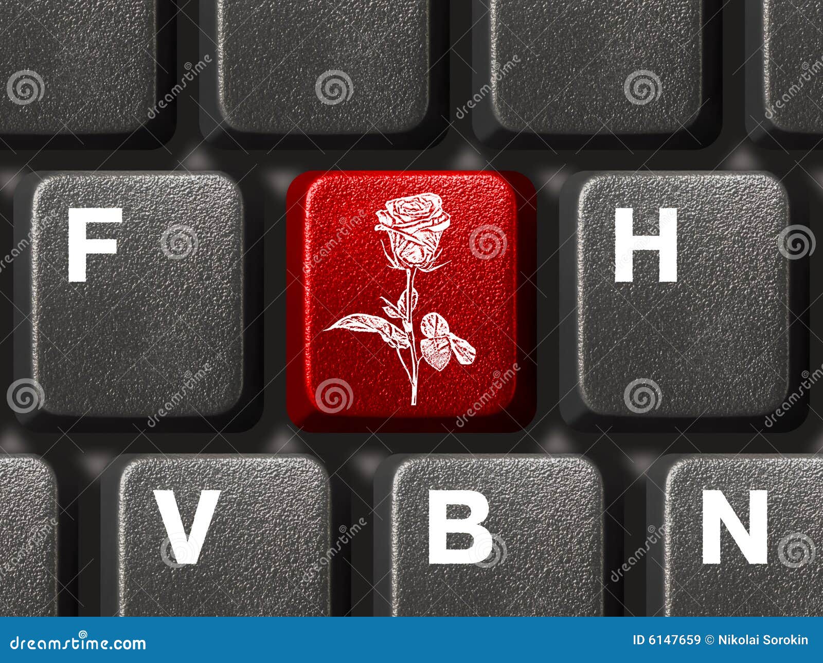PC Keyboard with Flower Key Stock Image - Image of internet, love: 6147659