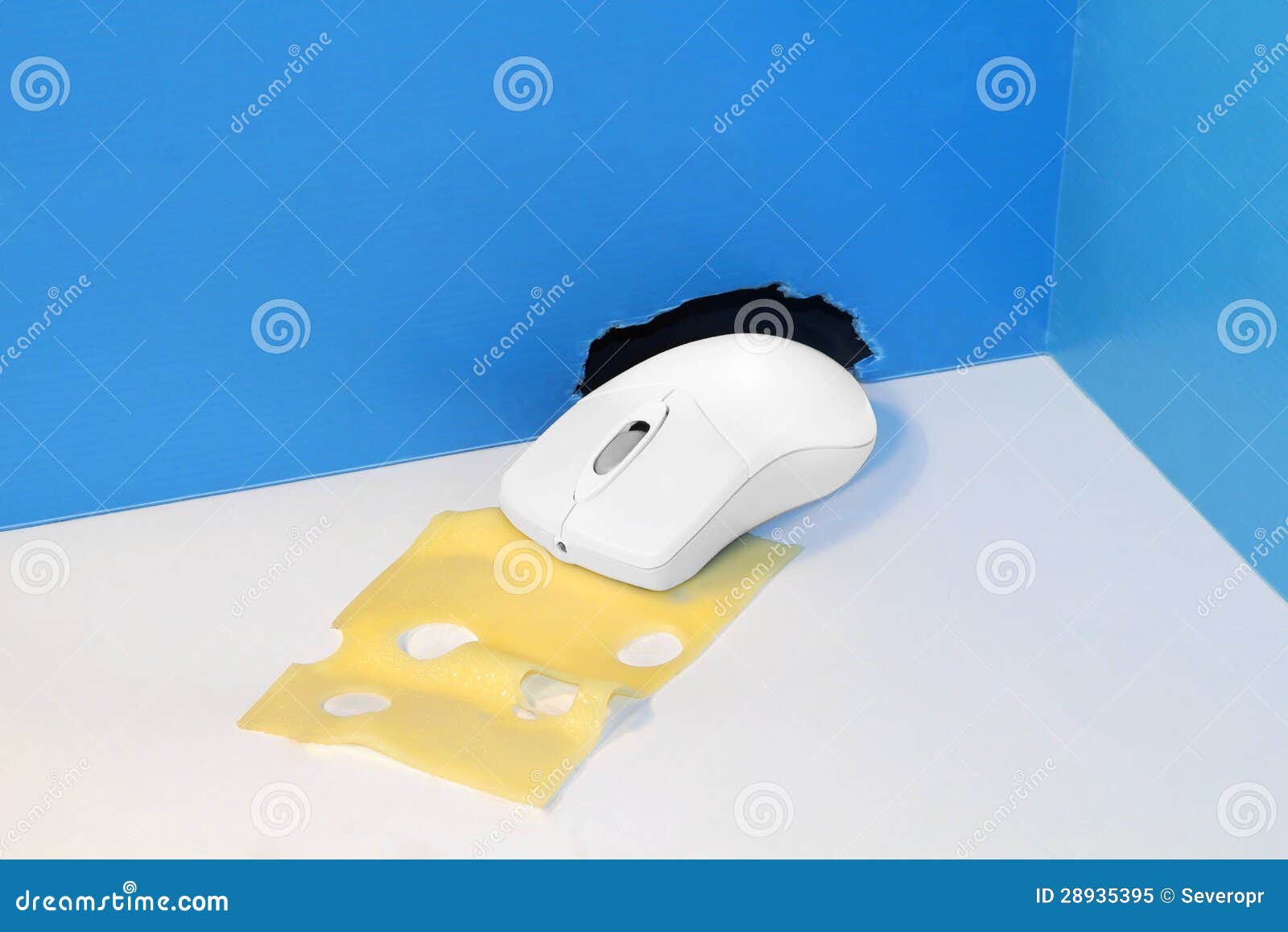 Pc Cheese Stock Photos - Free & Royalty-Free Stock Photos from Dreamstime