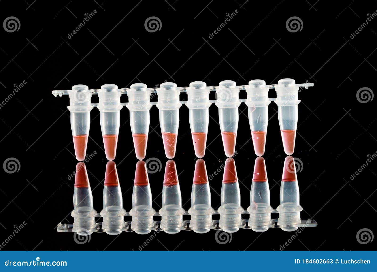 Pcr Micro Tube for Coronavirus Identification on Black Stock Image ...