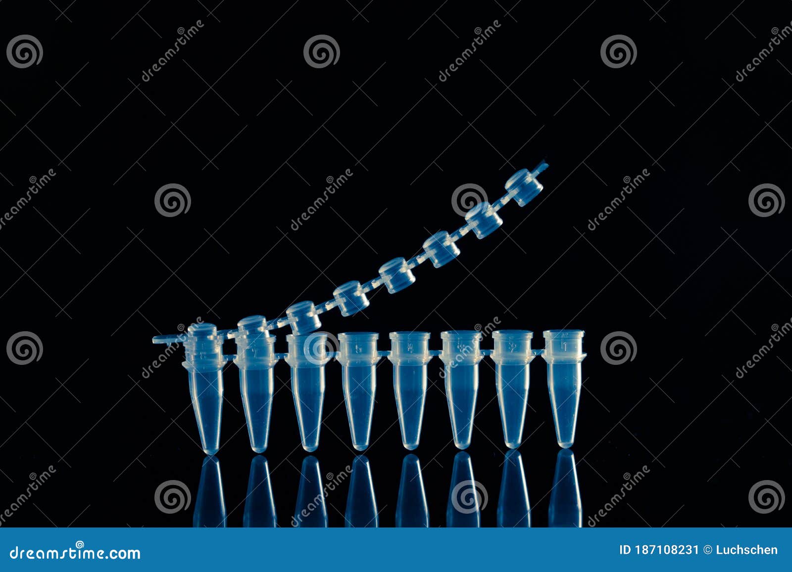 Pcr Micro Tube for Coronavirus Identification on Black Stock Image ...
