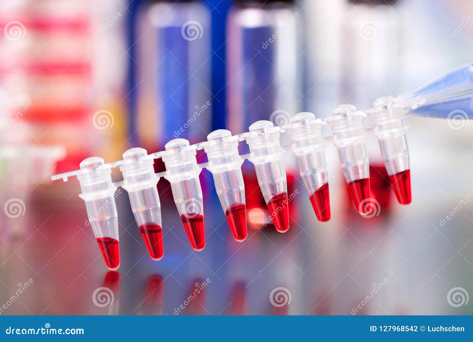 PCR micro tubes strips stock photo. Image of analysis - 127968542