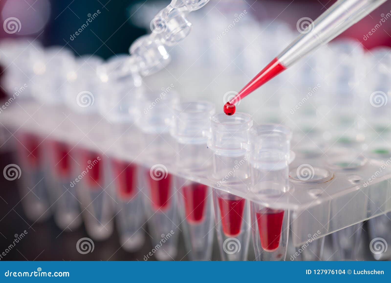 PCR micro tubes strips stock photo. Image of biology - 127976104
