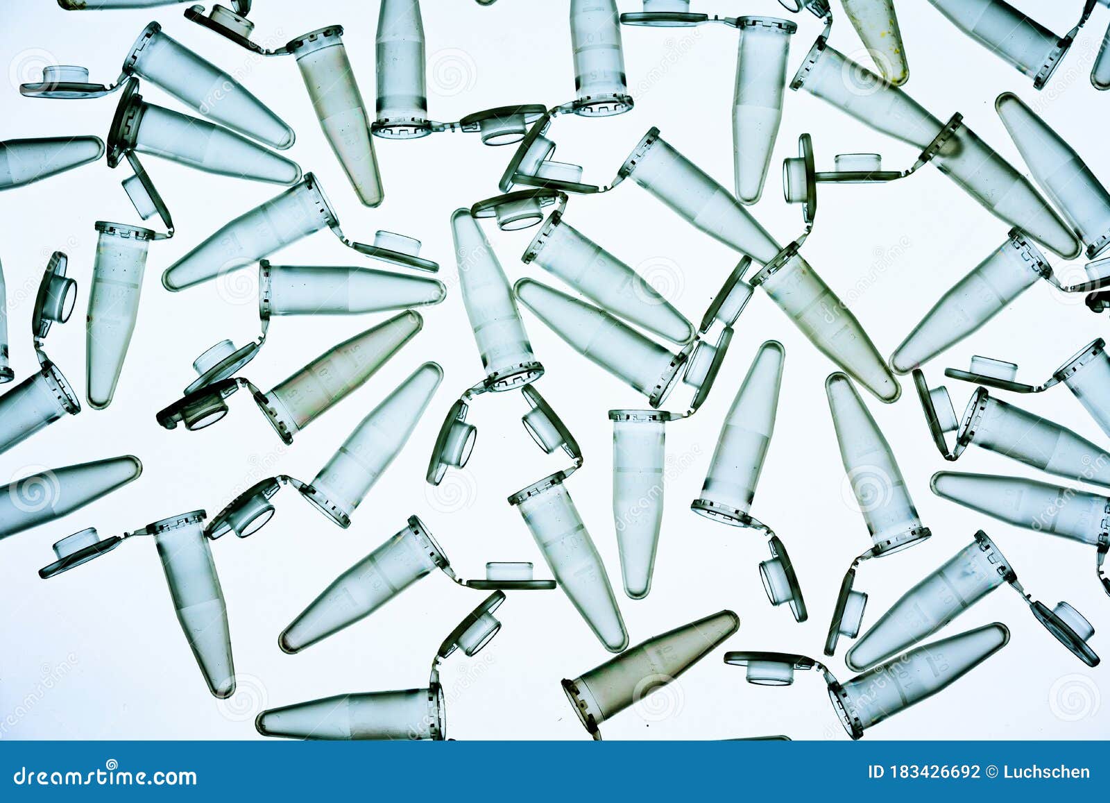 PCR Microtube on a White Background, PCR Test Tube on a White ...