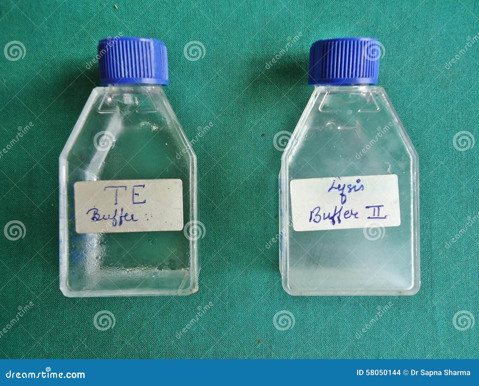 PCR stock photo. Image of test, reagents, used, process - 58050144