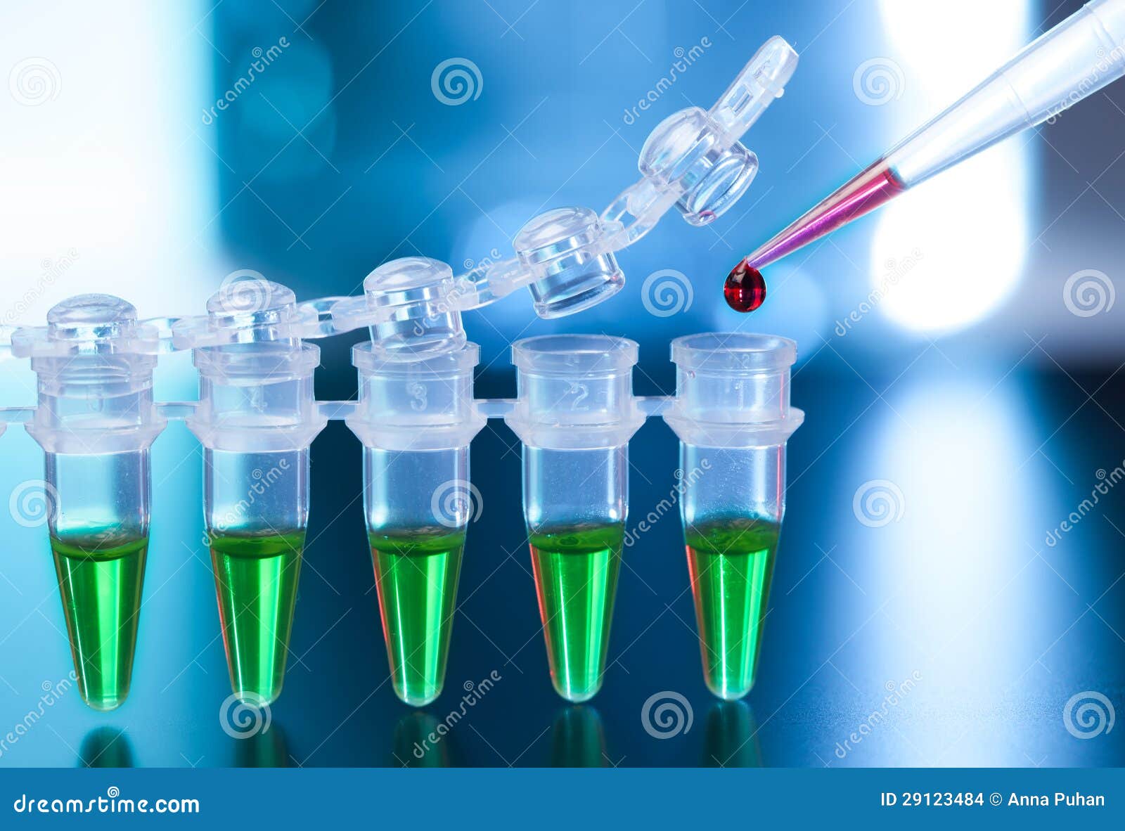 PCR samples stock photo. Image of tubes, benchwork, molecular - 29123484