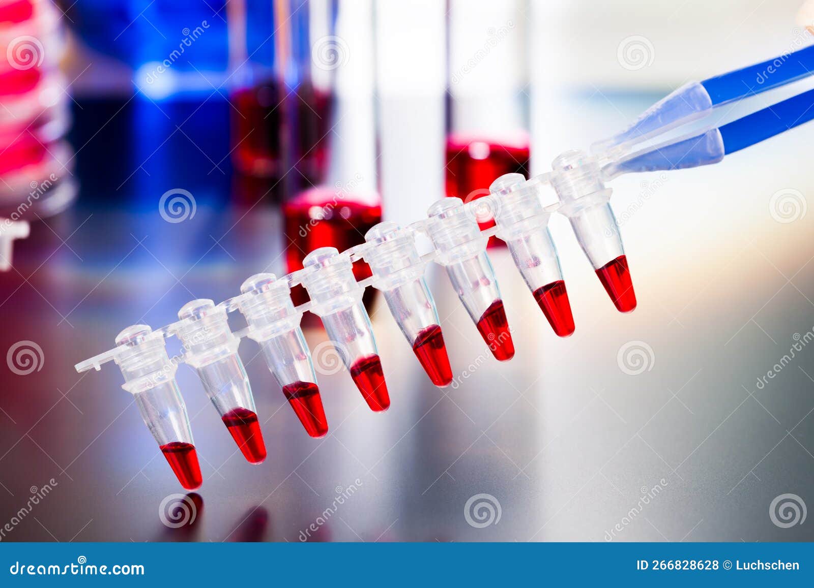 PCR Strip with Genetic Samples To Determine Paternity Stock Photo ...