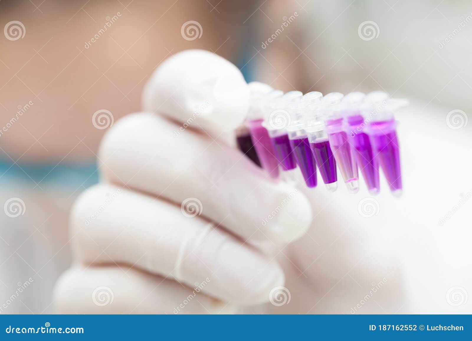 PCR Strip Test Tube in the Laboratory Stock Photo - Image of medicine ...
