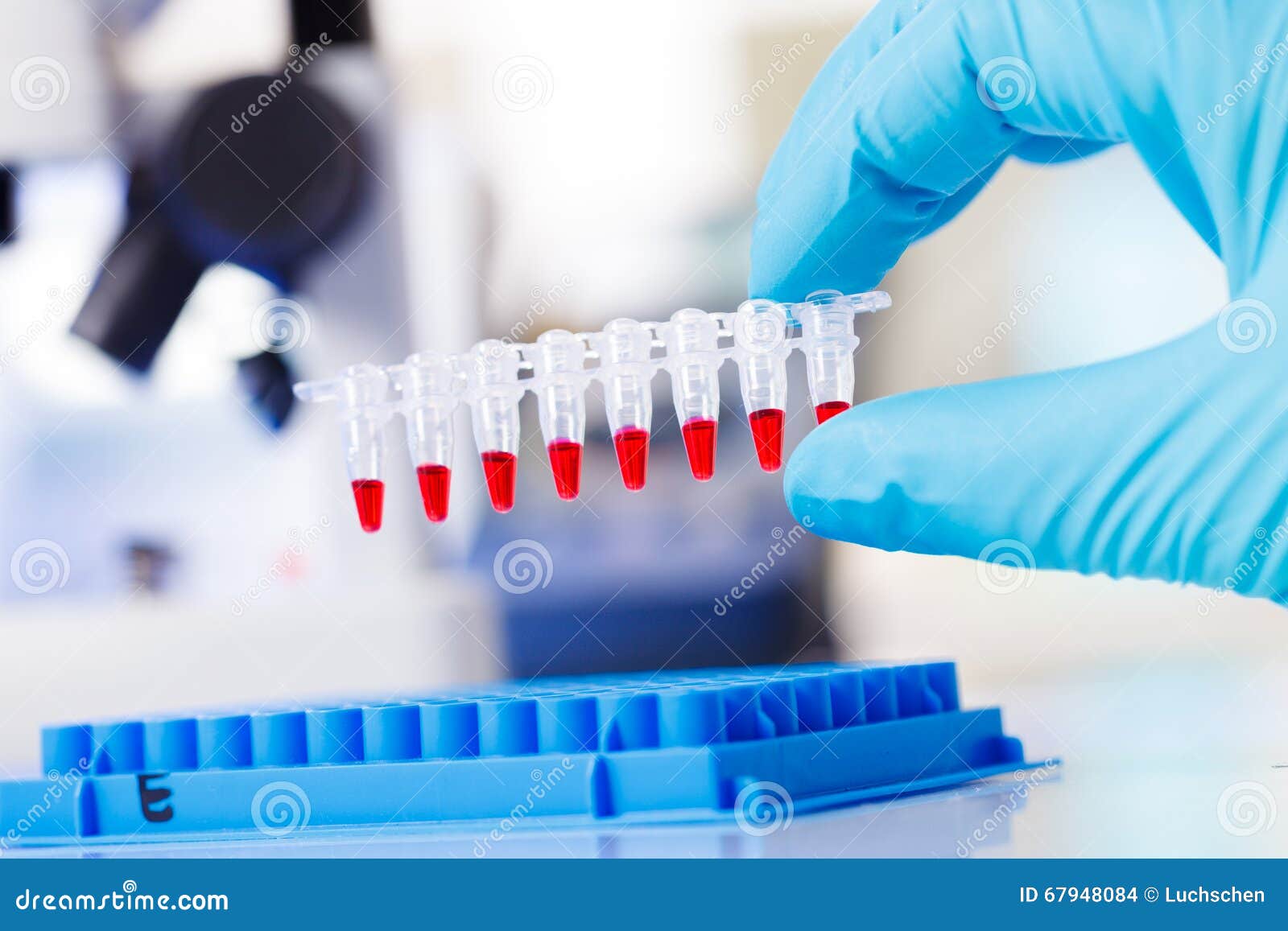 PCR strip test tubes stock photo. Image of blood, biochemical - 67948084