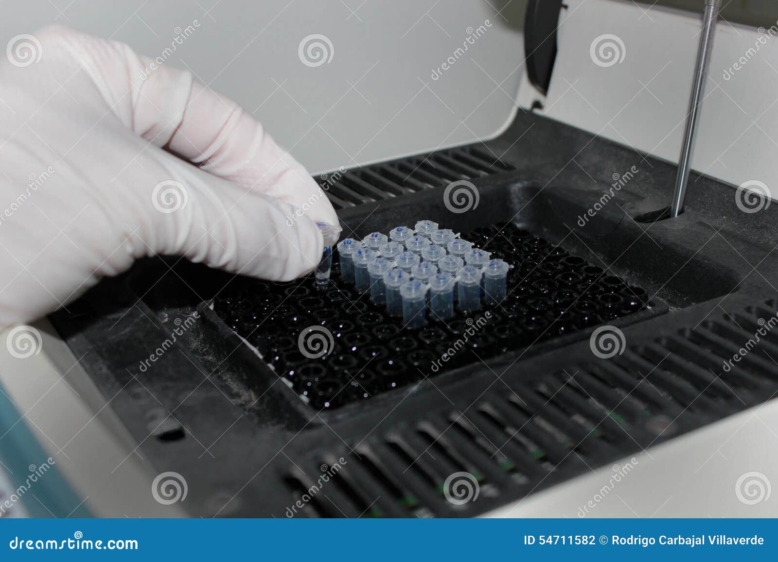 PCR tubes stock photo. Image of microtubes, bioolgy, genetic - 54711582