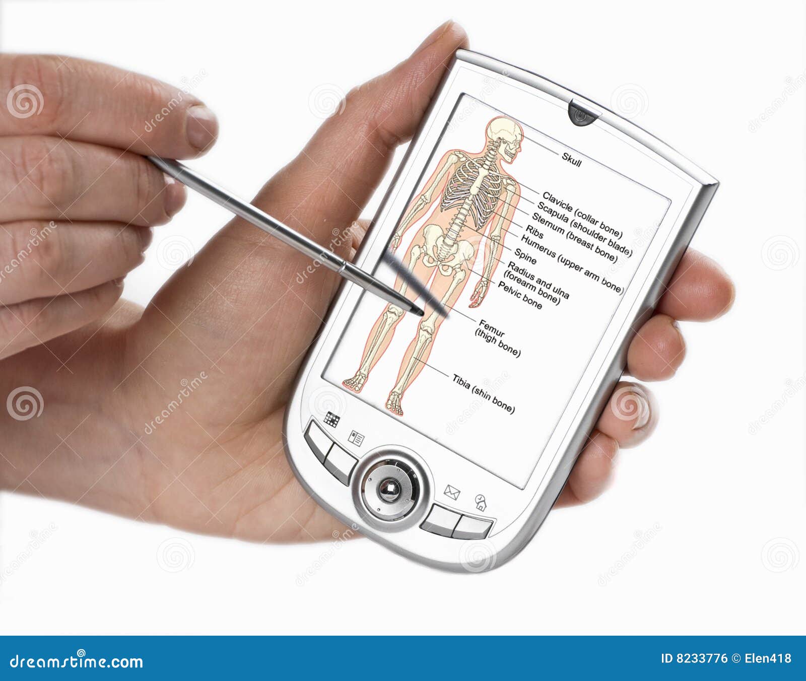 PDA, medicine software stock photo. Image of biology, electronics - 8233776