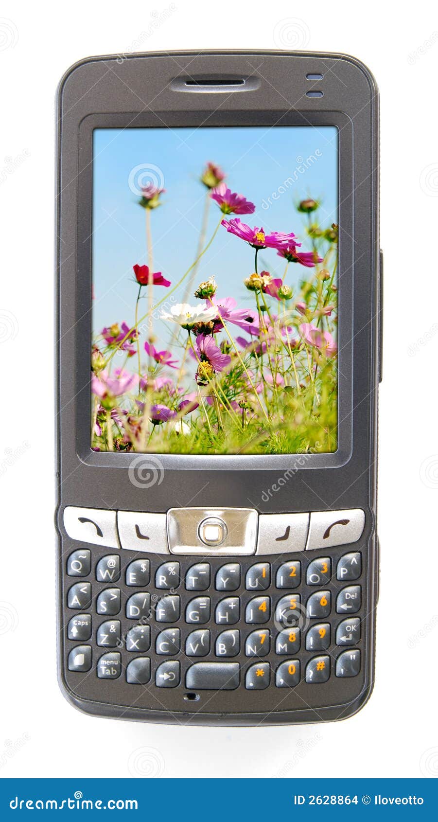 Pda phone stock photo. Image of flower, mobile, display - 2628864