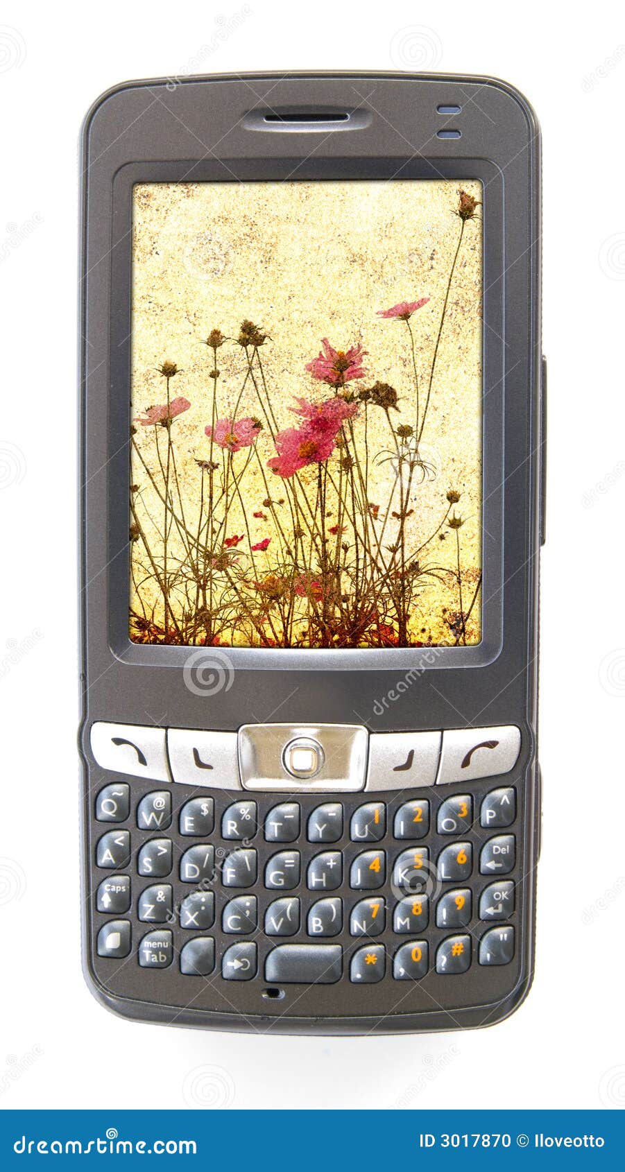 Pda phone stock photo. Image of flap, curve, graphic, cellphone - 3017870