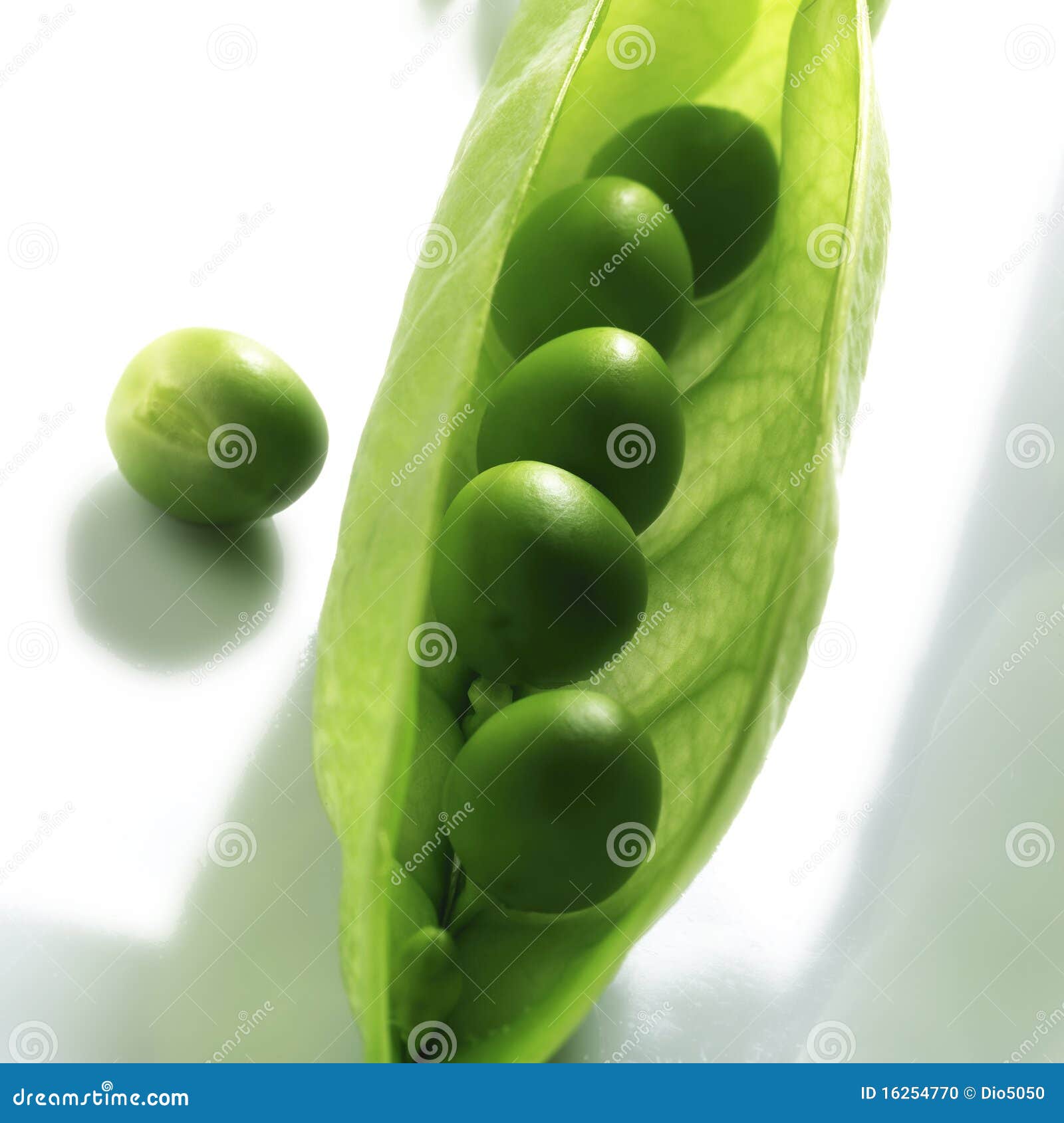 Pea stock photo. Image of contrast, transparency, bright - 16254770