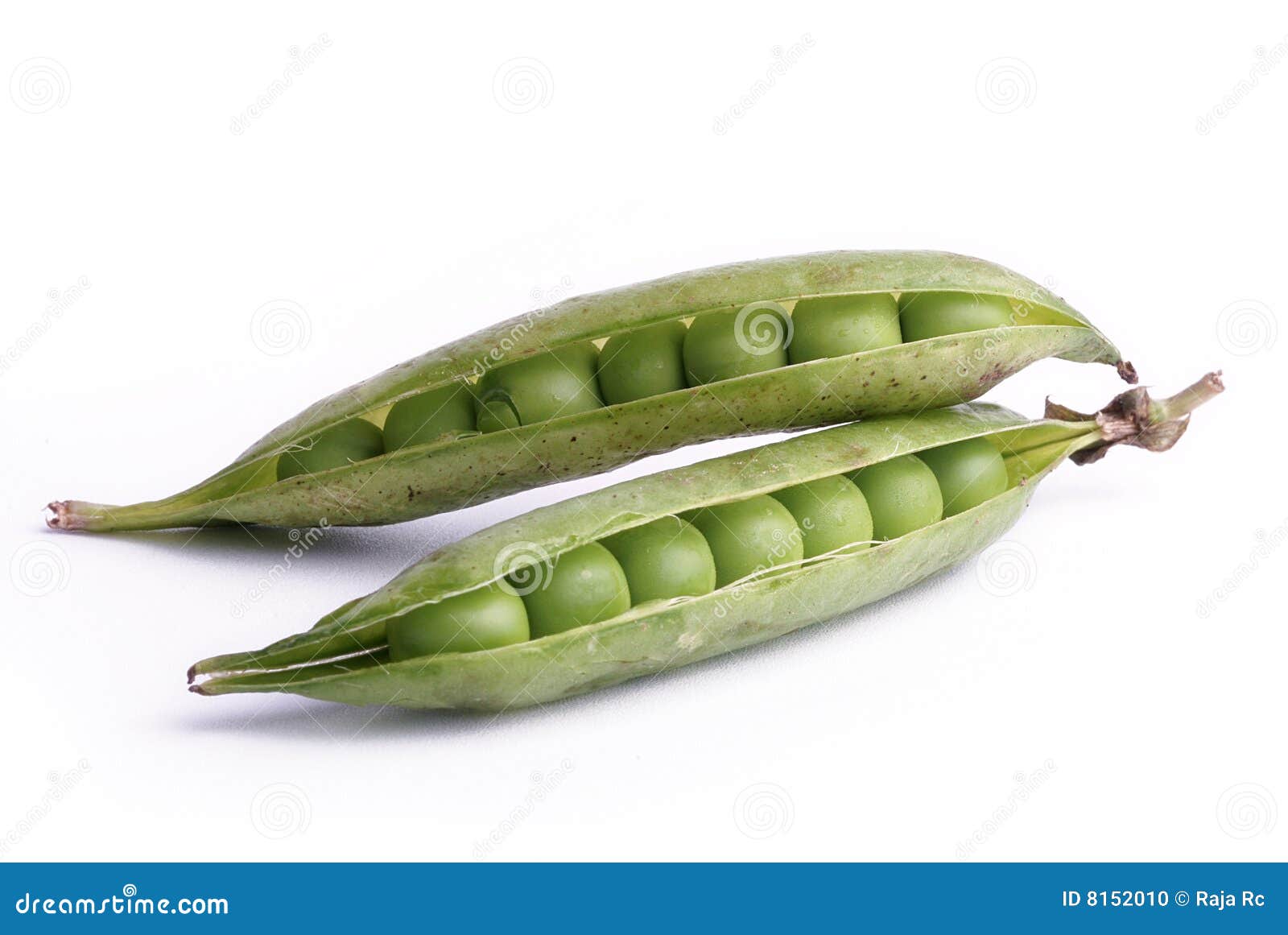 Pea stock photo. Image of healthy, green, pattern, closeup - 8152010