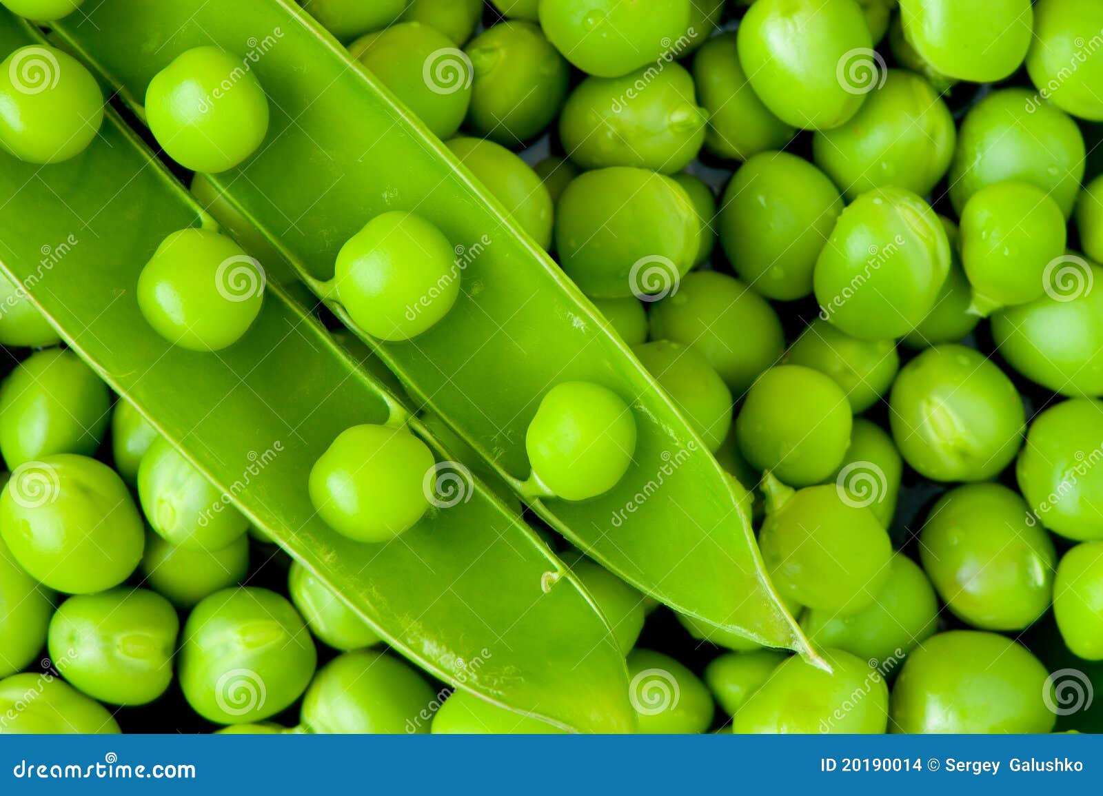 Pea background stock photo. Image of horizontal, ripe - 20190014