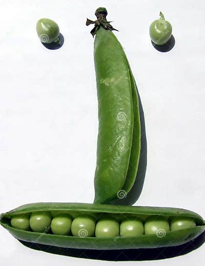 Pea-face stock illustration. Illustration of mouth, vegetable - 3809580
