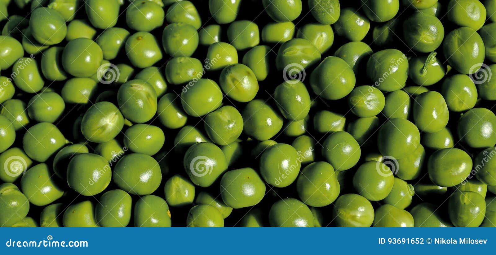 Pea grains stock photo. Image of grown, kitchen, herb - 93691652