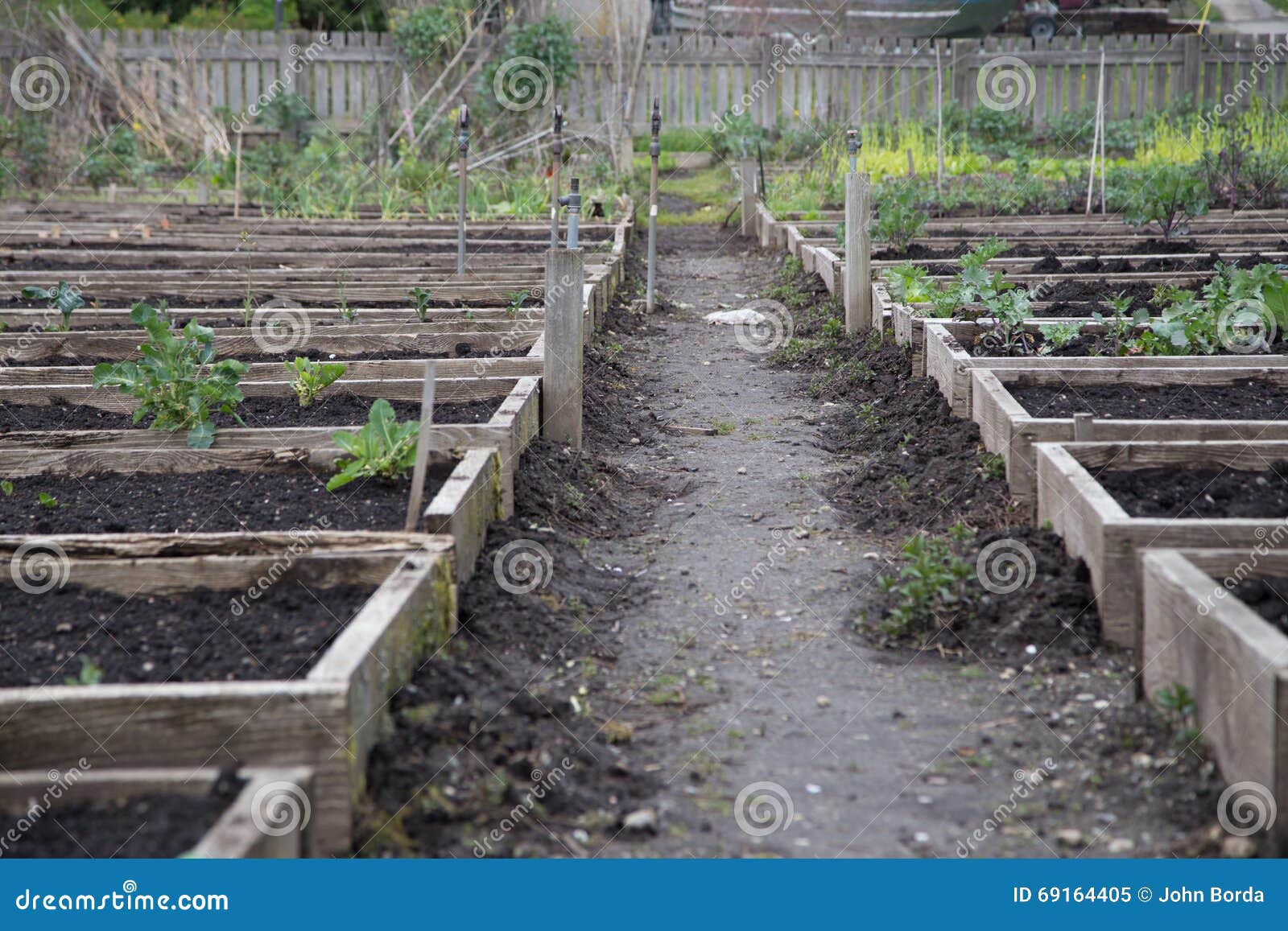 Pea Patch raised beds stock image. Image of landscaping - 69164405