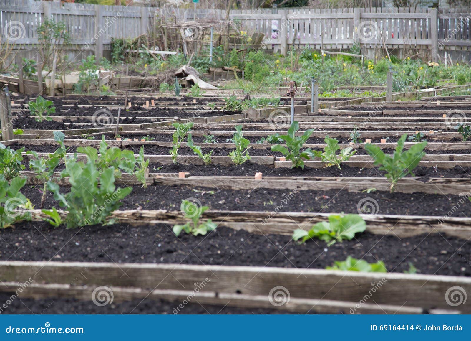 Pea Patch raised beds stock photo. Image of landscape - 69164414