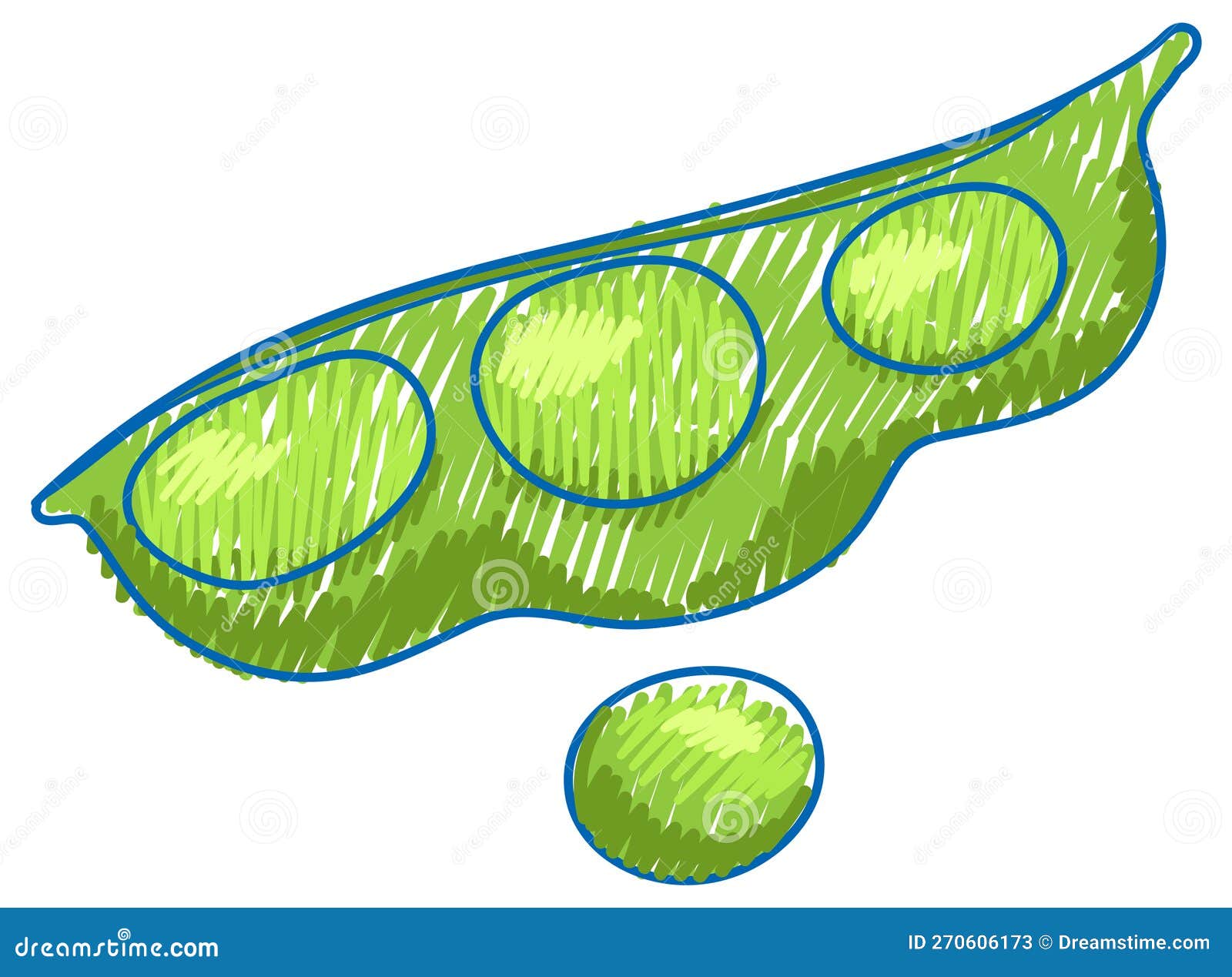Pea in Pencil Colour Sketch Simple Style Stock Vector - Illustration of ...
