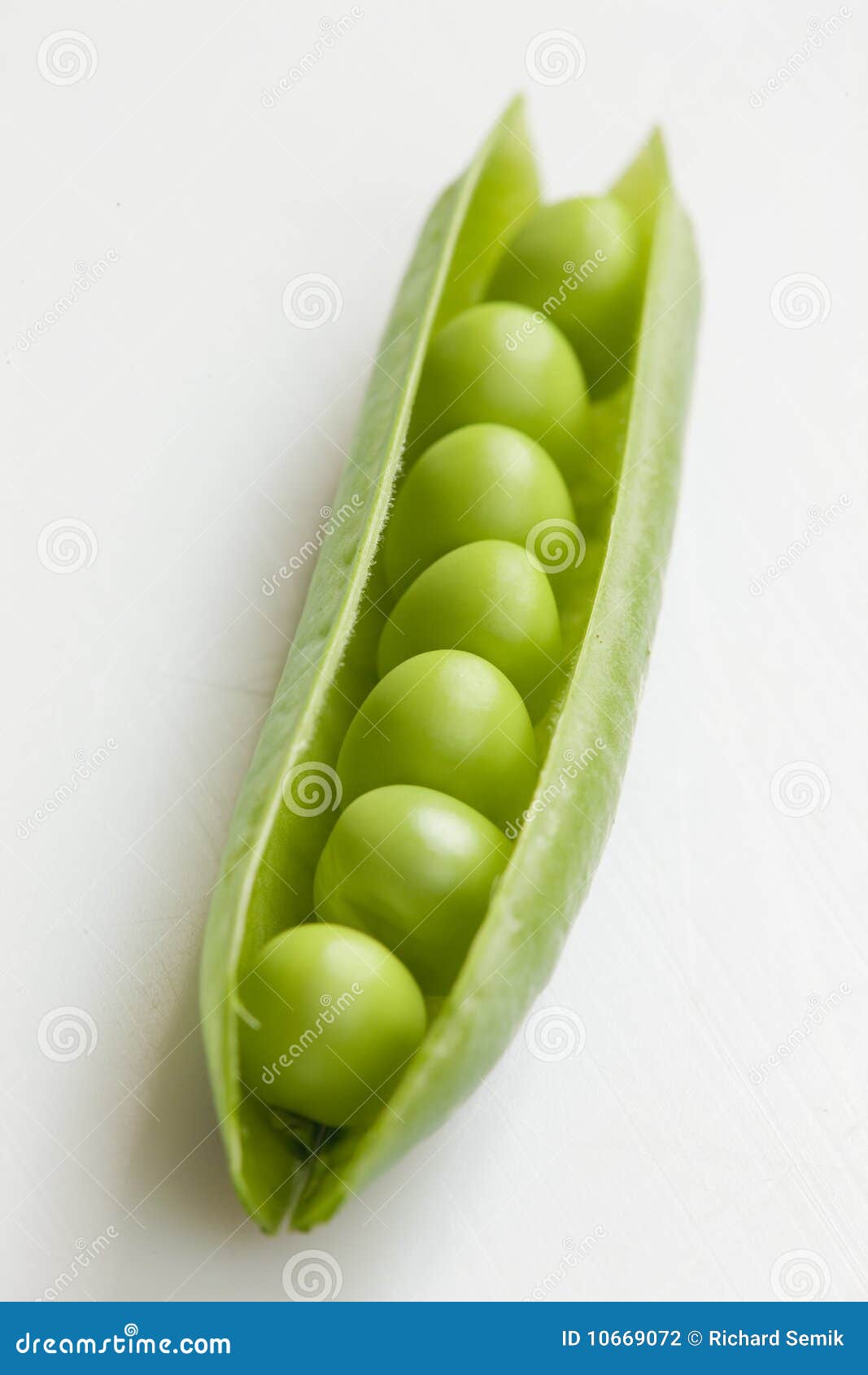 Pea pod stock photo. Image of nutritive, health, nutrition - 10669072