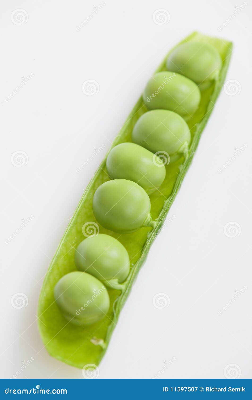 Pea pod stock image. Image of food, nutritive, interior - 11597507